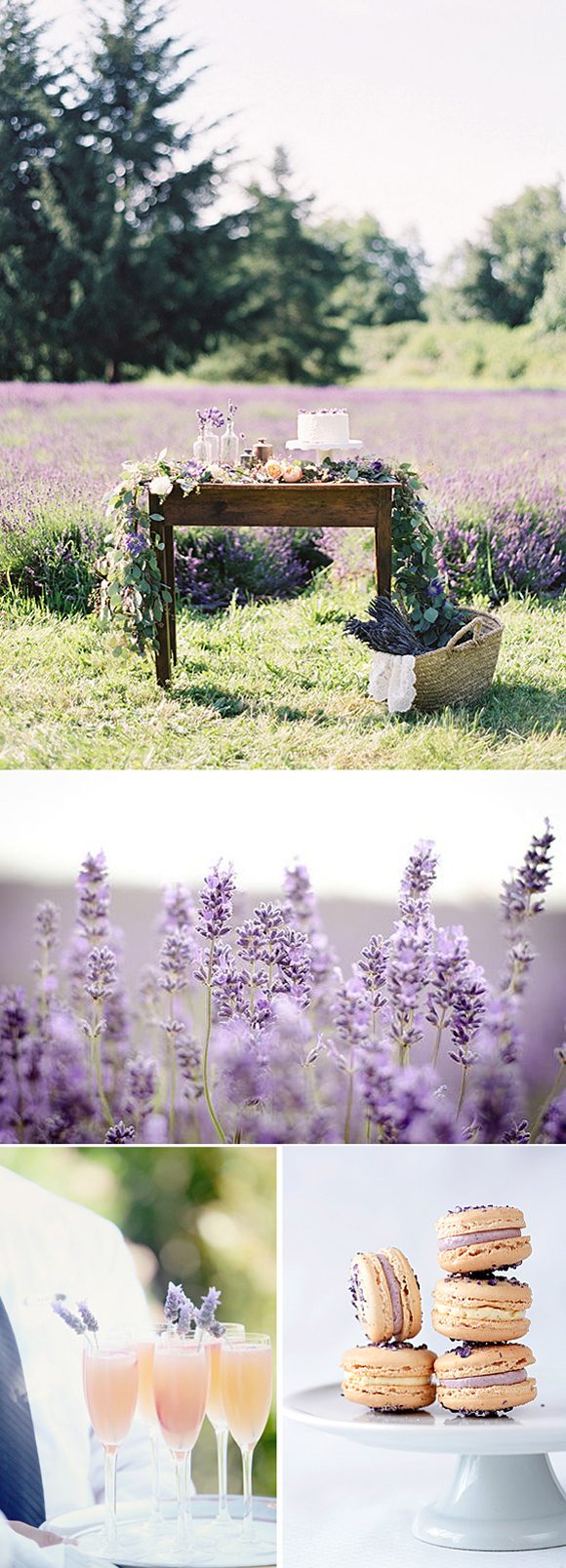 Bodas con lavanda: Ideas geniales para la decoración de tu boda ...